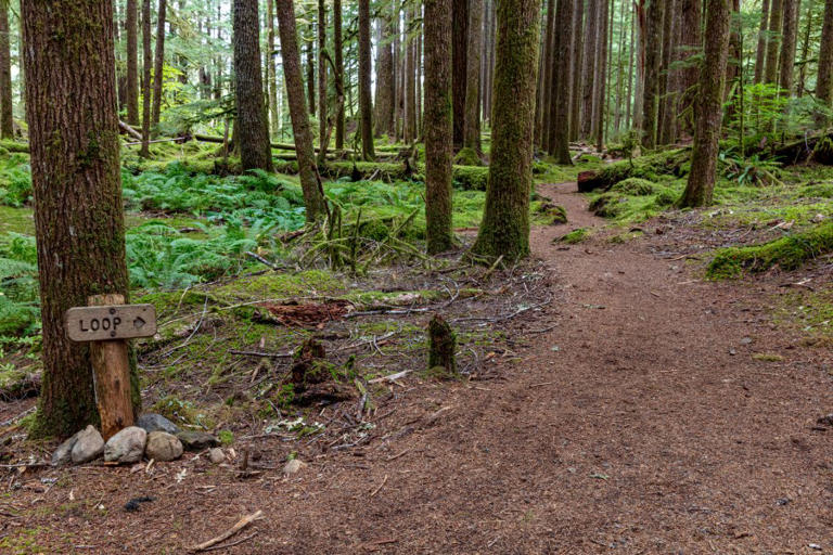 New trails and parking unveiled at Old Fort post-Hurricane Helene