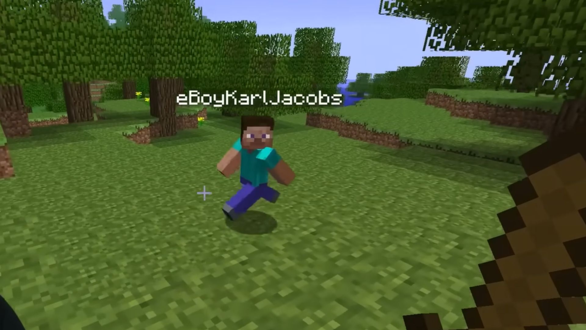 20 Awesome Video Games With Terrible Graphics