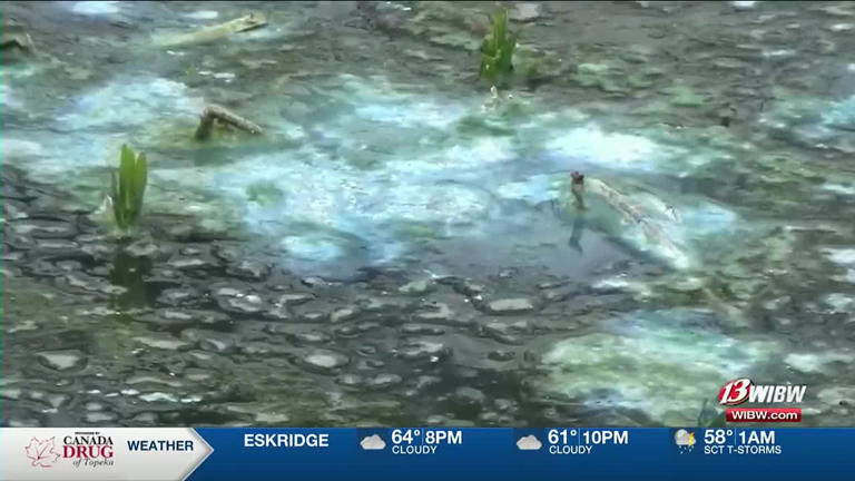 Geary County pond under blue-green algae warning, Brown County lake lifted