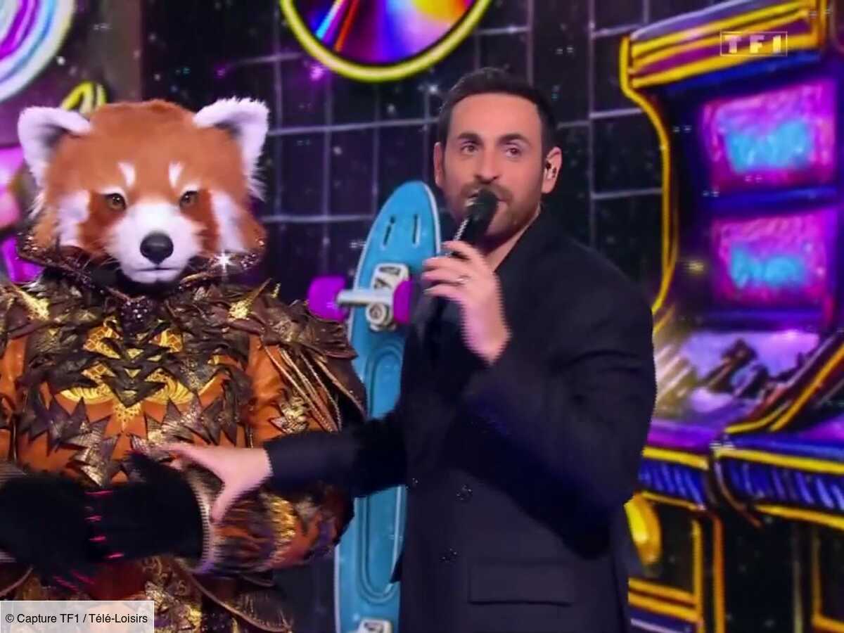 Mask Singer 2025 : Quelle célébrité se cachait sous le costume du Panda ...