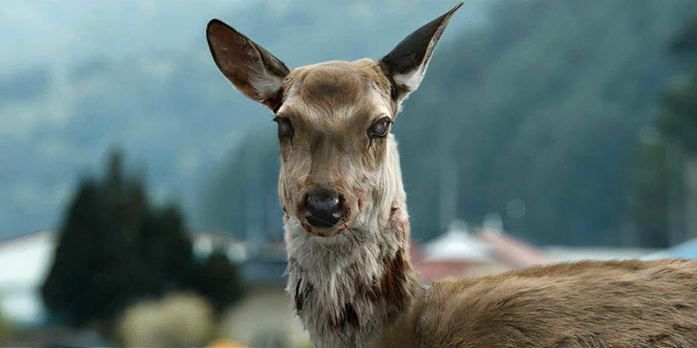 Train To Busan Took One Terrifying Step Most Zombie Movies Are Afraid To