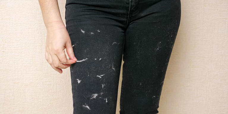 I Tried This Genius Hack for Removing Pet Hair and Couldn't Believe How ...