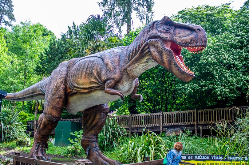 Wookey Hole unleashes terrifying new T-Rex in epic Dino Valley upgrade