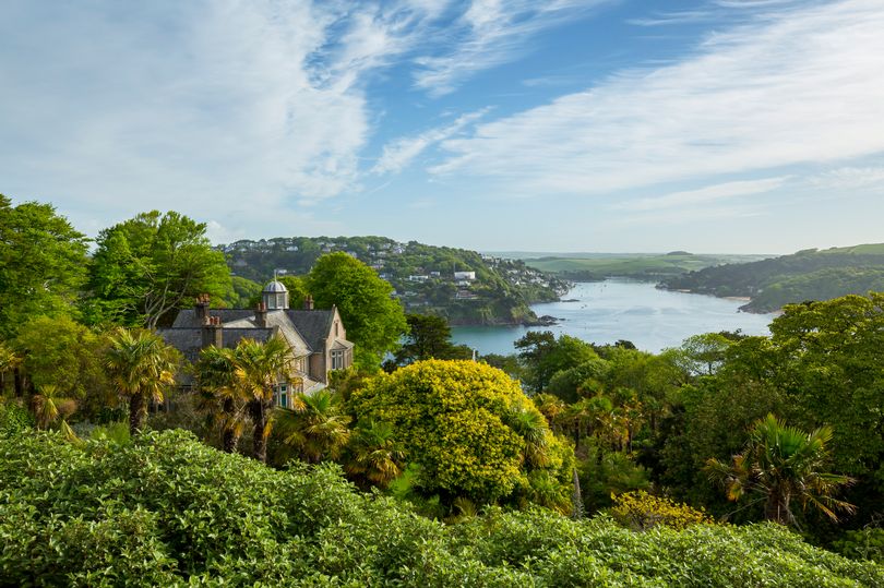 Devon's exotic coastal paradise ramps up its appeal