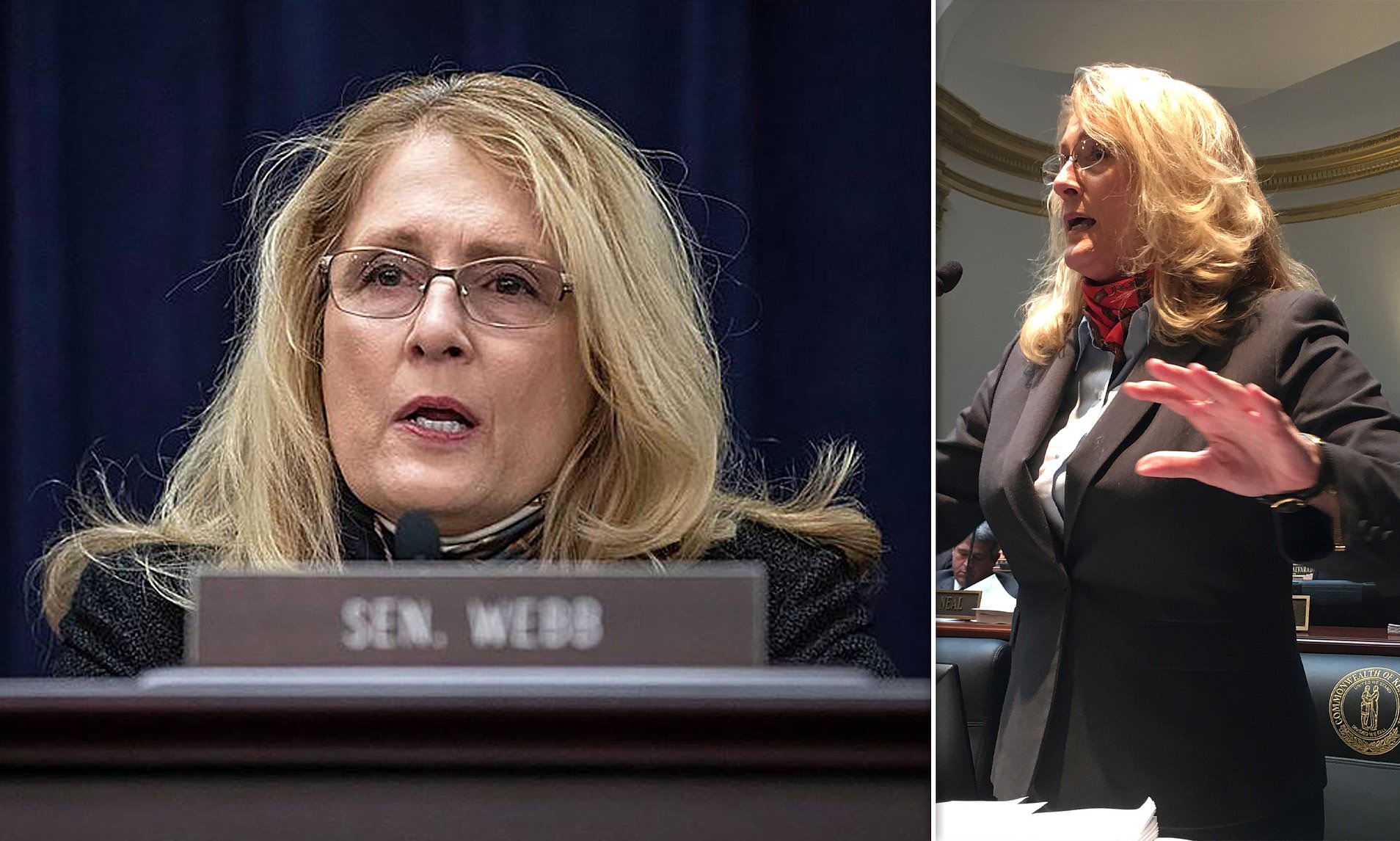 Kentucky Senator who served as Democrat for 27 years defects to ...