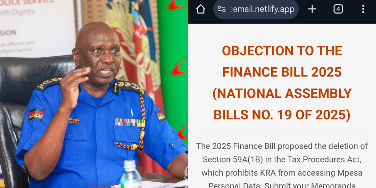 Profile of Rose Njeri, Woman Arrested for Creating Anti-Finance Bill ...