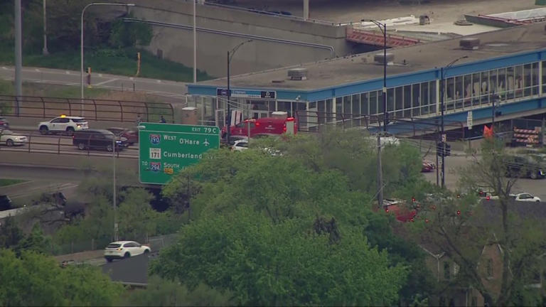 Blue Line train service resumes after debris cleared from tracks