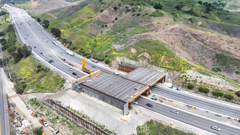 The World's Largest Wildlife Crossing Is Almost Ready To Help Animals ...