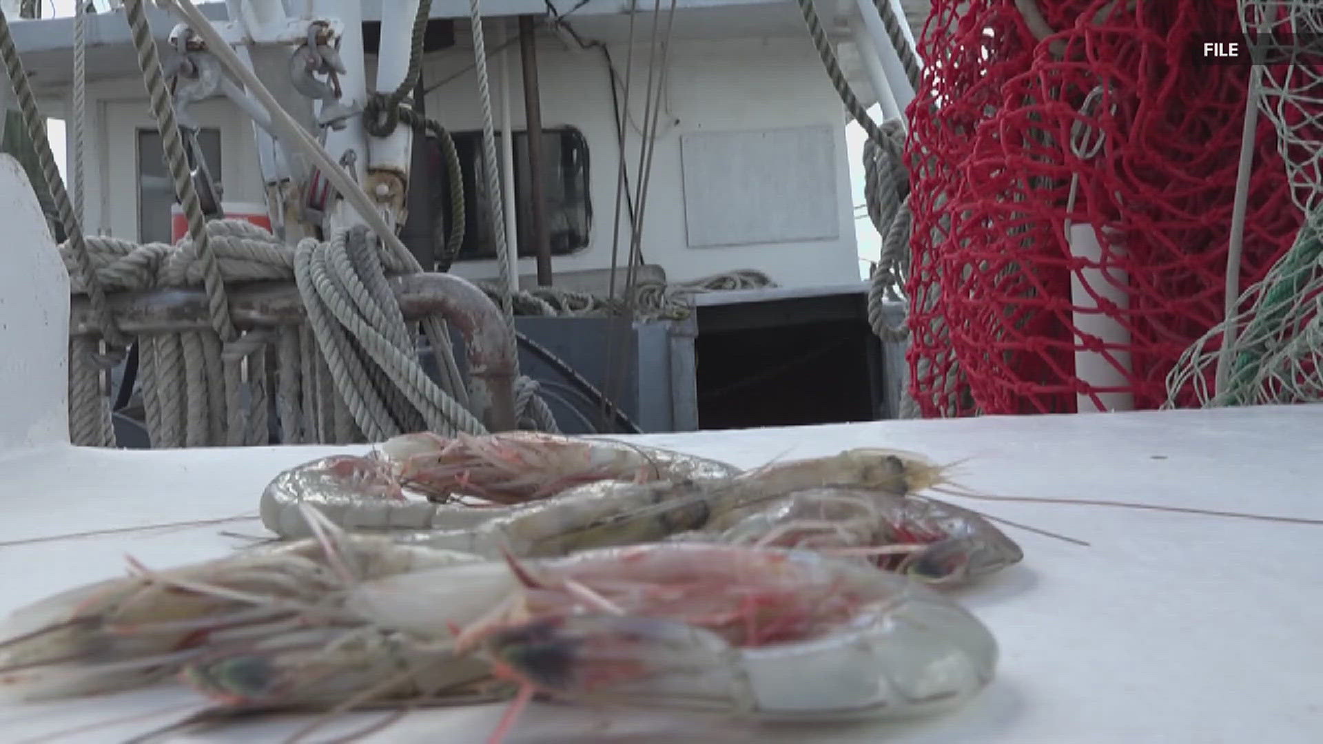 Texas lawmakers advance bills to protect local shrimp industry