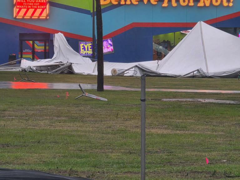 Storm knocks down trees, leaves thousands on Grand Strand without power