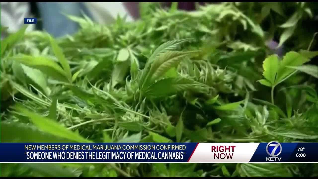 'Someone who denies the legitimacy of medical cannabis': Lawmakers ...
