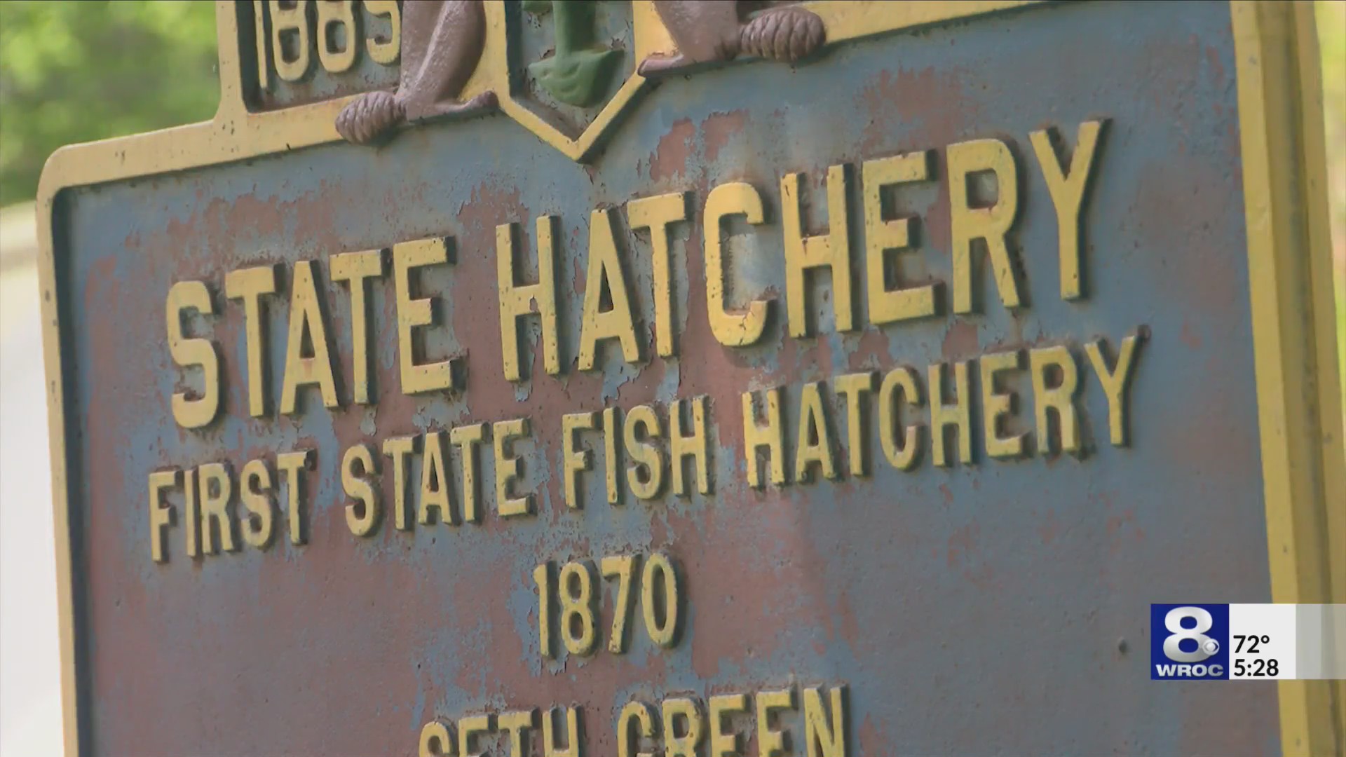 New York State invests $120M to modernize fish hatcheries
