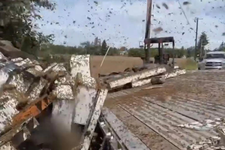 250 million bees escape after semi-truck overturns in Washington State ...