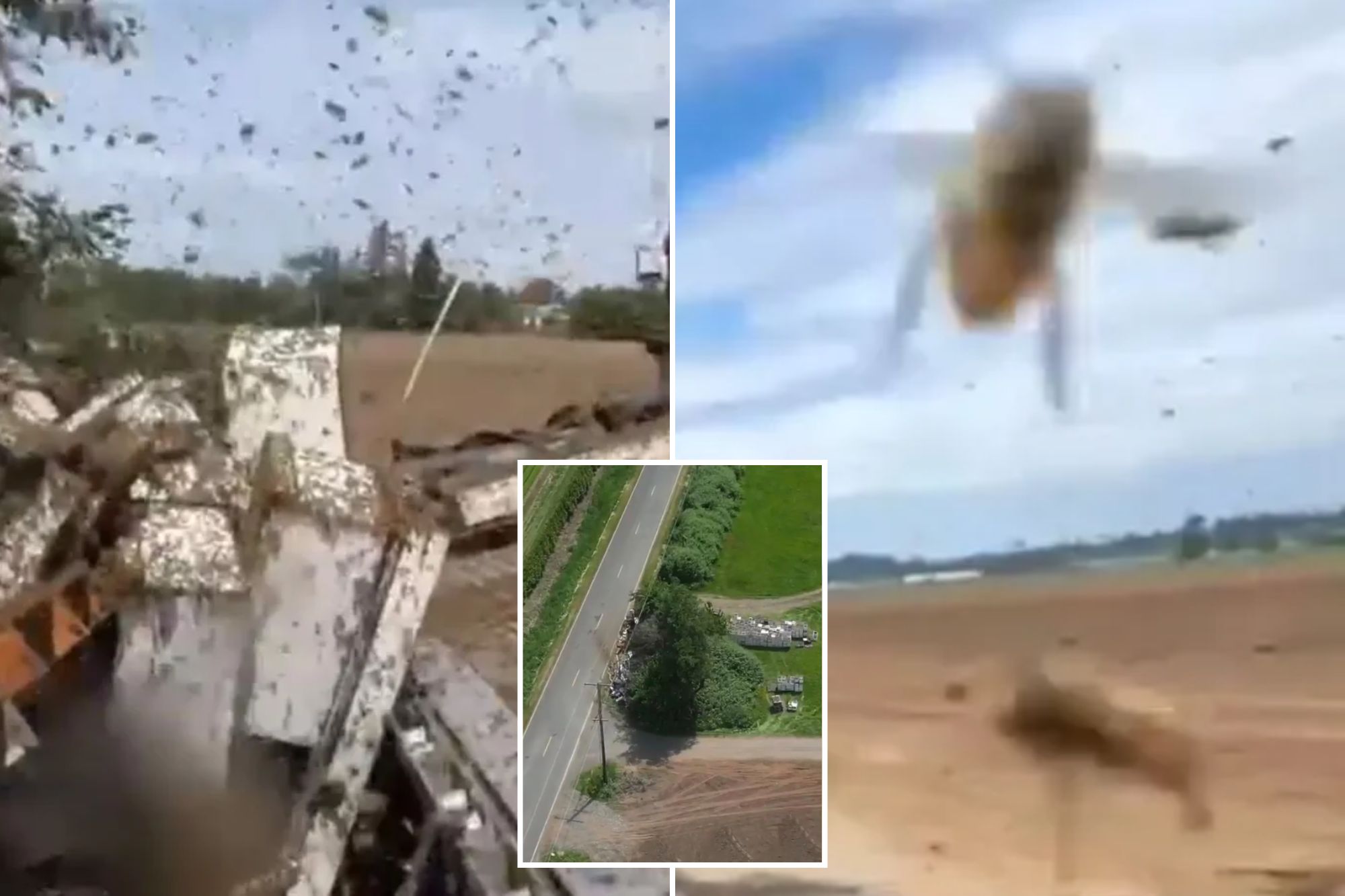 250 million bees escape after semi-truck overturns in Washington State ...