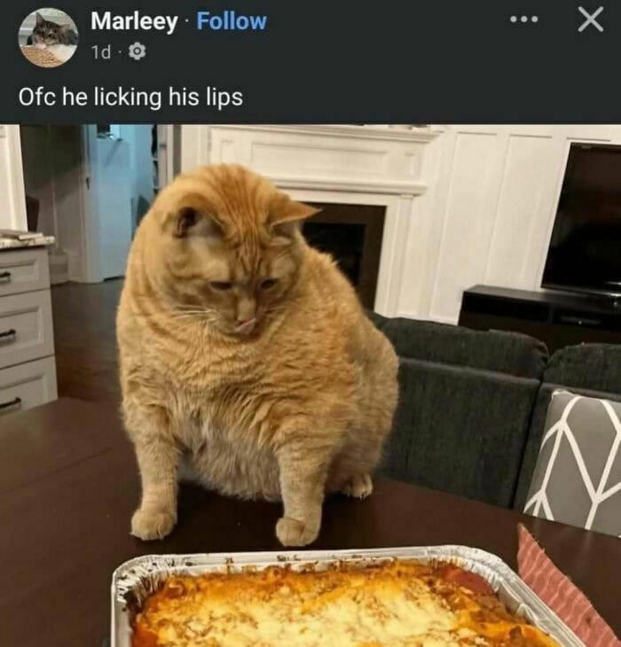 35 Funny Posts From This Page That’s Perfectly Petty Proudly Mocking ...