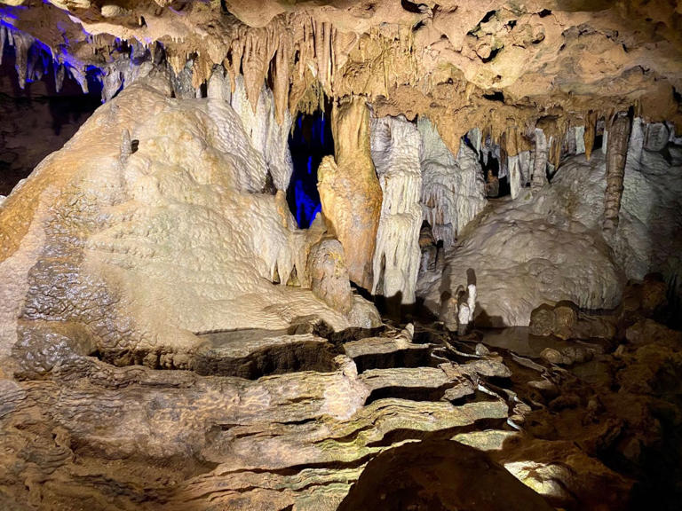 Florida Caverns State Park: Underground Wonders & Above-Ground Adventures