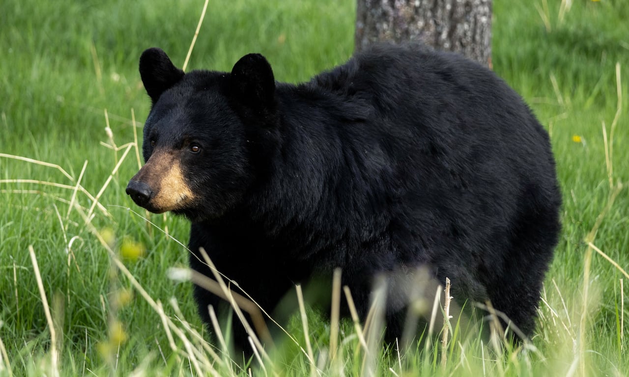 'Remote terrain of Kananaskis' presents unique challenges for G7 ...