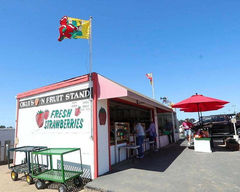 How 30-year-old strawberry stand with ‘perfect' fruit became a SLO ...