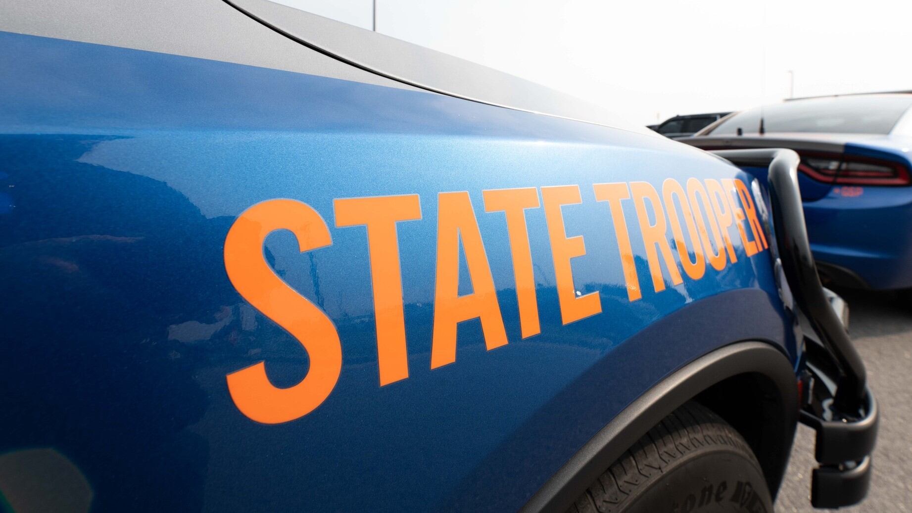 Man Arrested After Fleeing Traffic Stop With 50 Pounds Of Marijuana