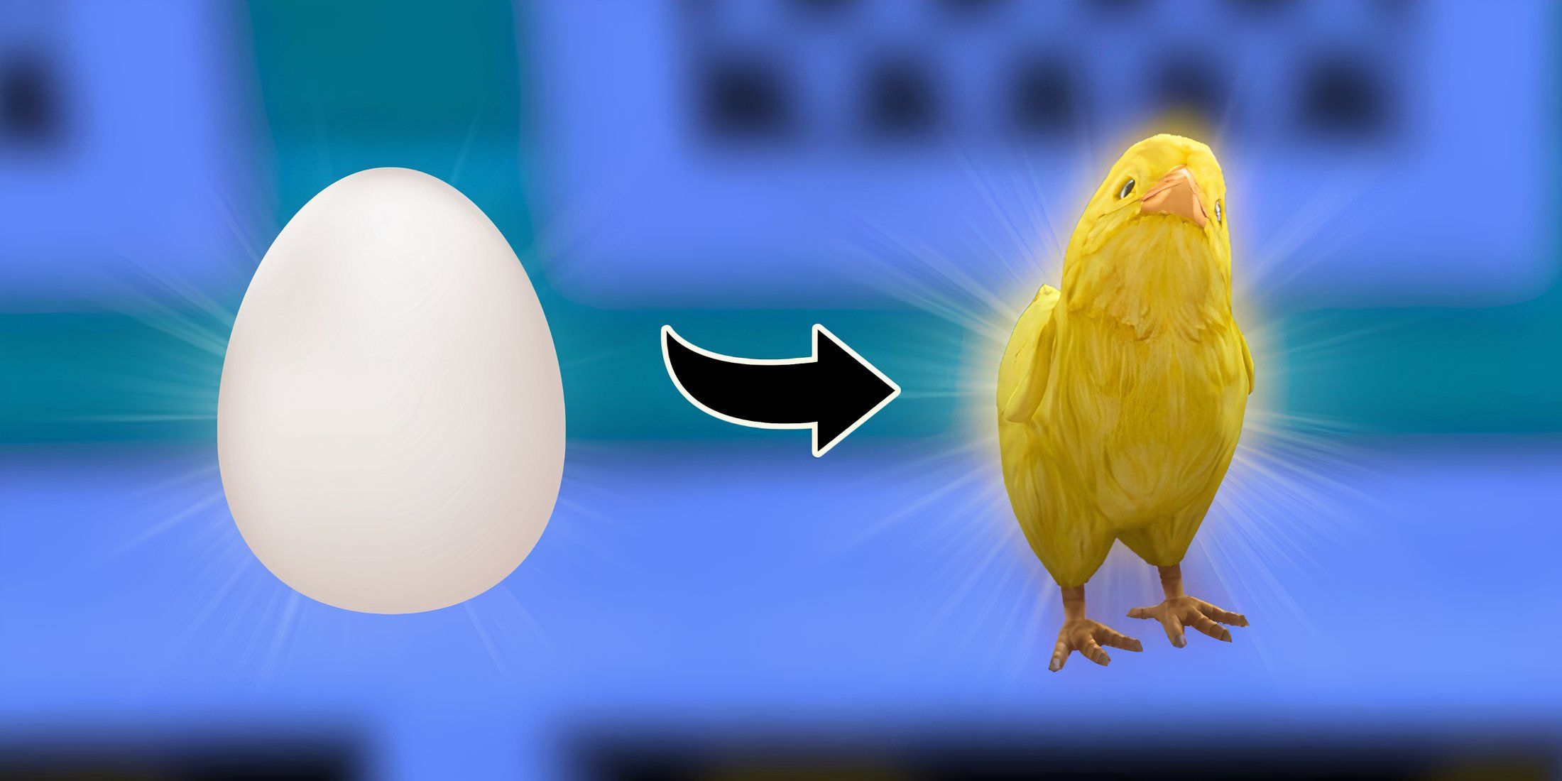 How to Hatch Eggs in The Sims 4