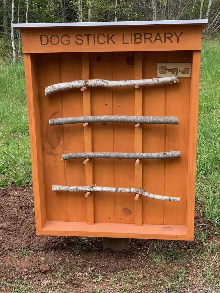 Riverview opens library for tails not tales