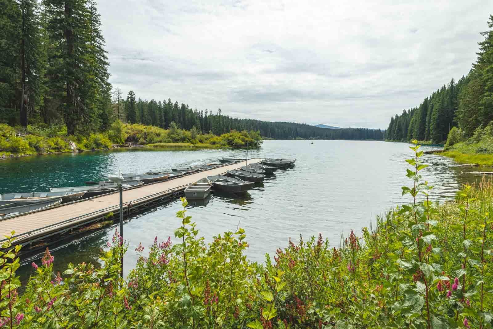 5 Hidden Oregon Lake Campgrounds Worth Booking Early for Your Next ...