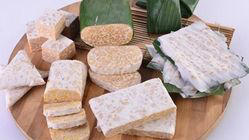 Resep Simple Tempe untuk Liburan: Cara Memasak Tempe Enak dan Sehat ...