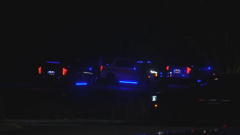 Monroe police identify gunman who allegedly shot officer after pursuit