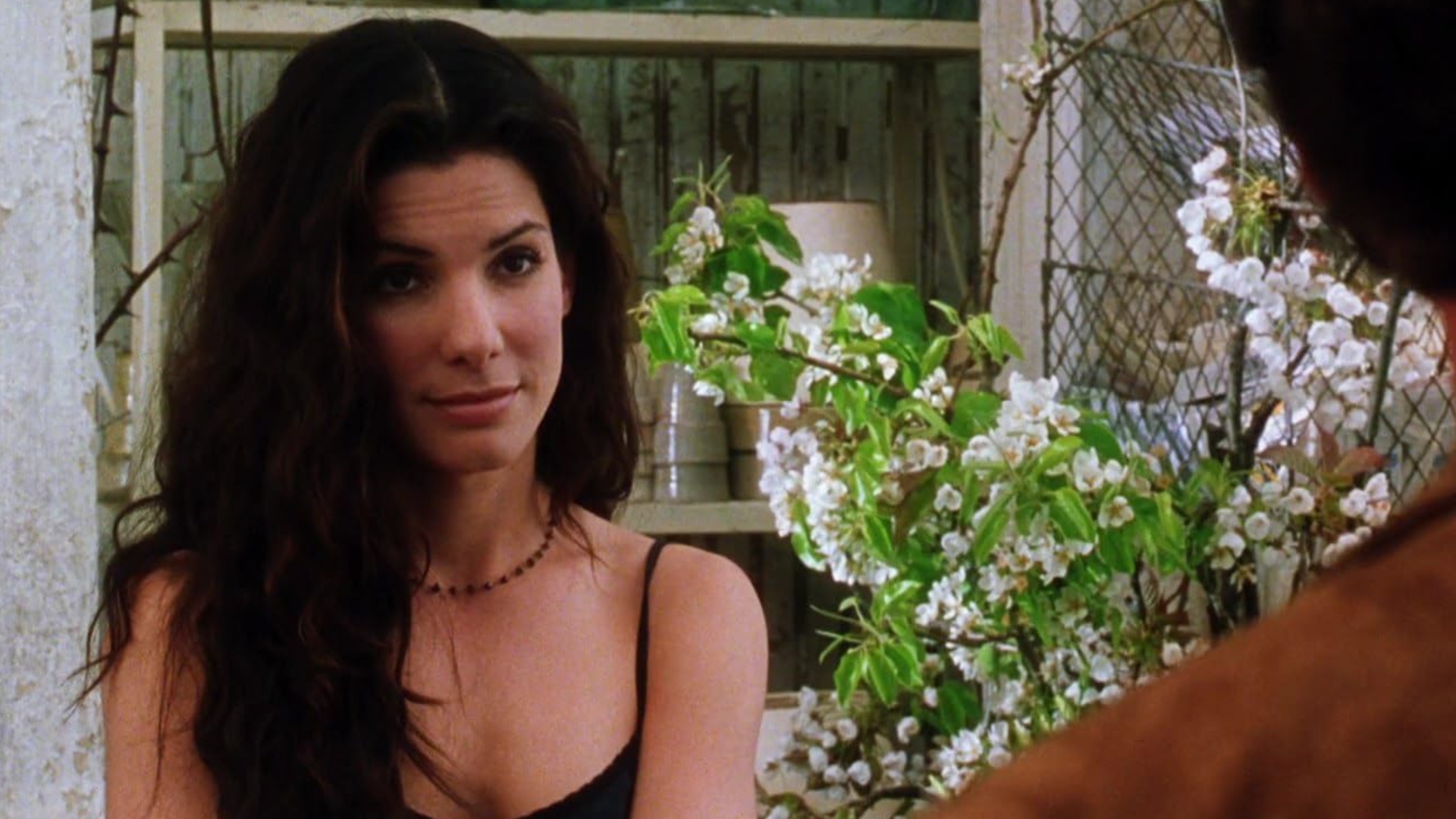 Practical Magic 2: Release date and everything we know about the sequel
