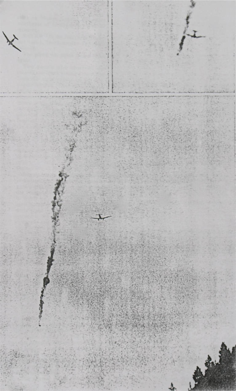 Surviving dogs, a backcountry rescue: Story of deadly plane crash in ...