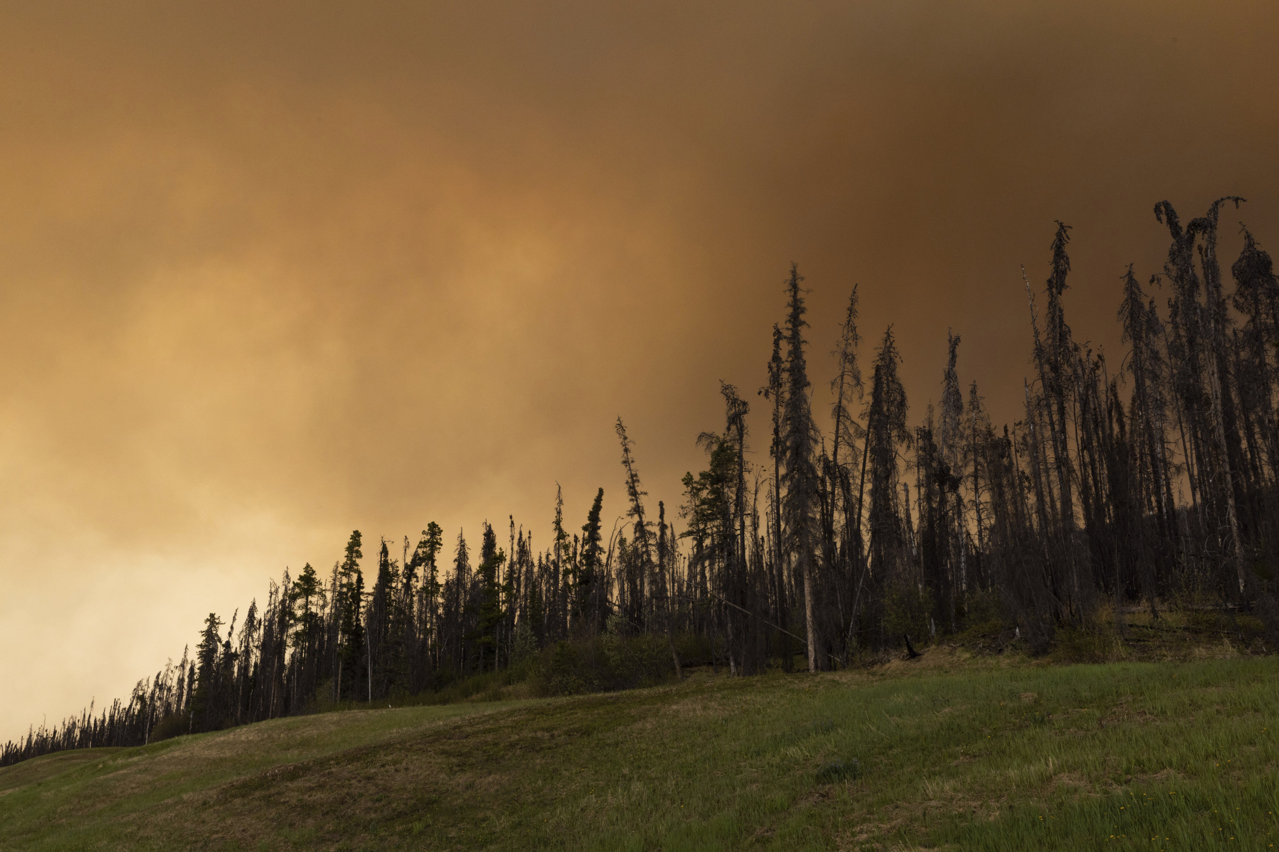 Millions across 3 states told to close windows, limit outside activity