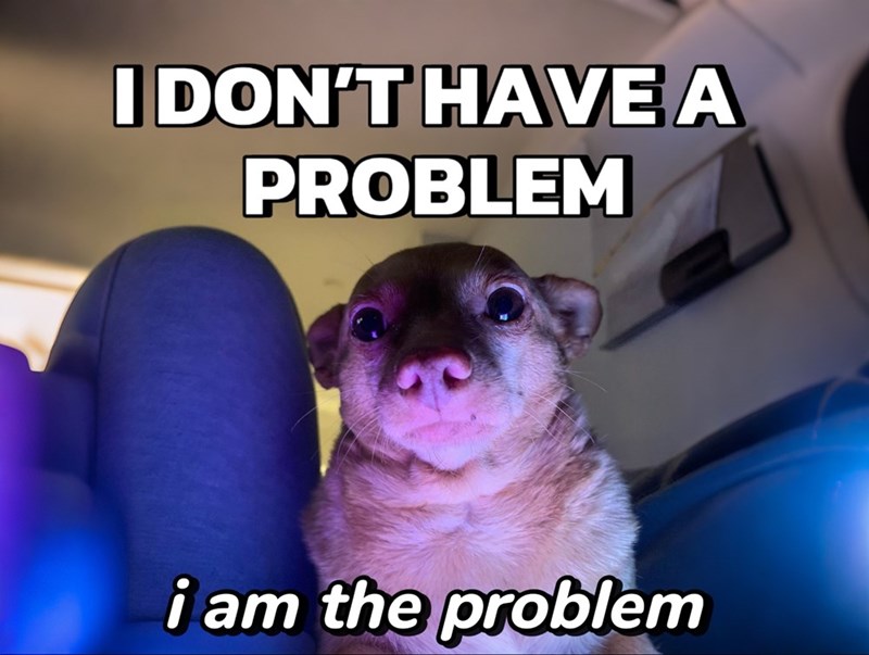 27 Howlarious Dog Memes for When You Want to Howl With Laughter
