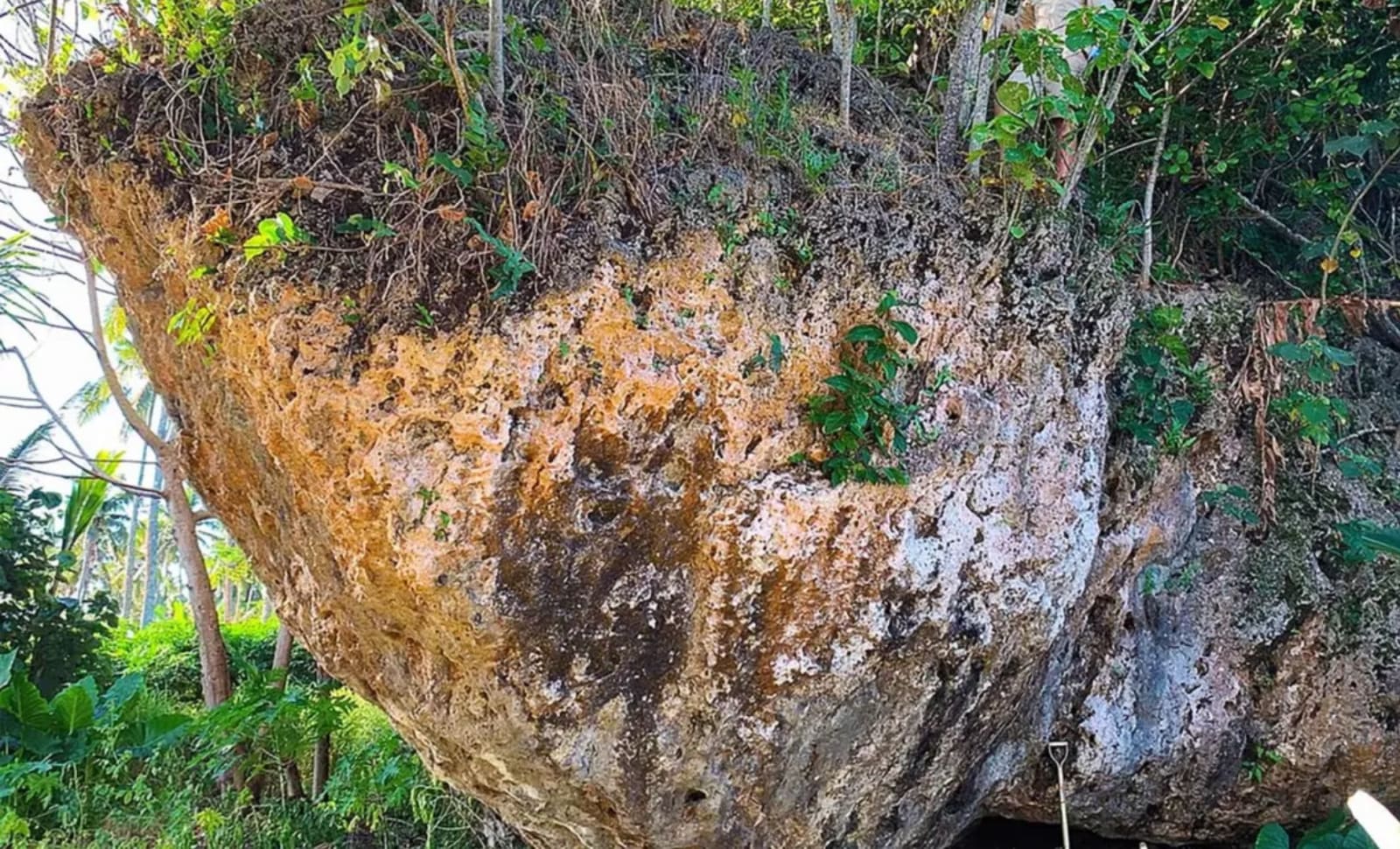 A 2.6-Million-Pound Rock Thrown Inland… by a Monster Wave