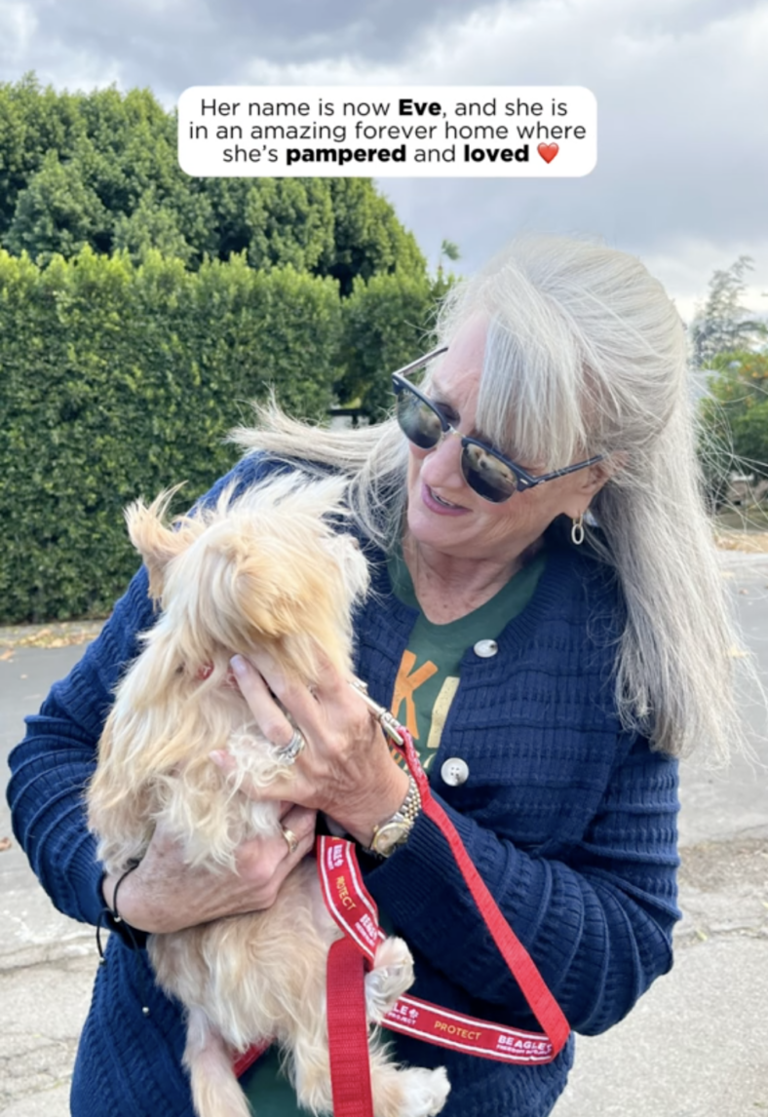 Tiny Senior Dog Was Nearly Euthanized Because She Couldn’t Move—But ...