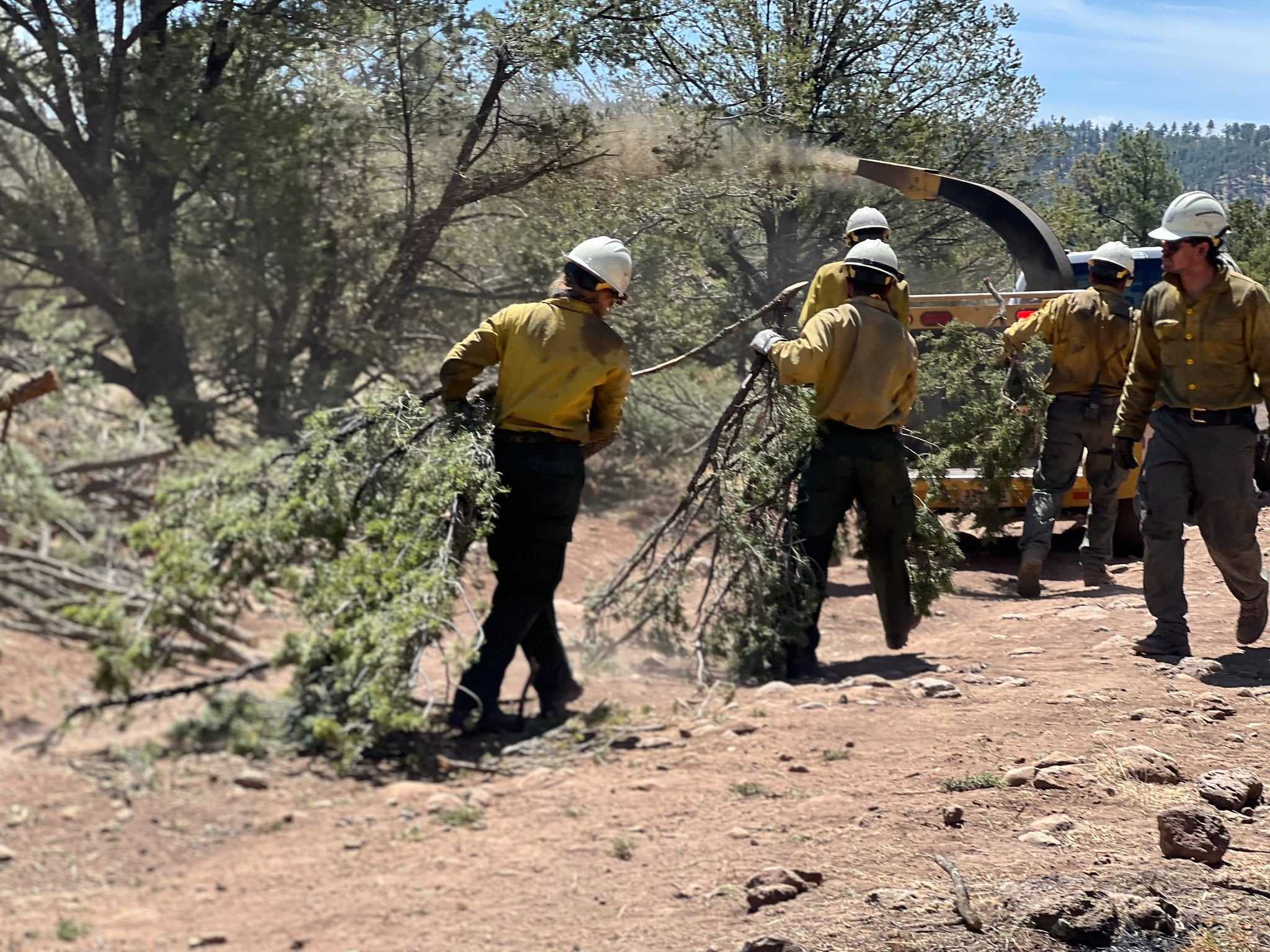 Paradise Fire in Gila Forest now 87% contained