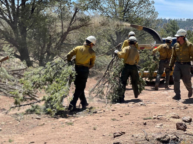 Paradise Fire in Gila Forest now 87% contained