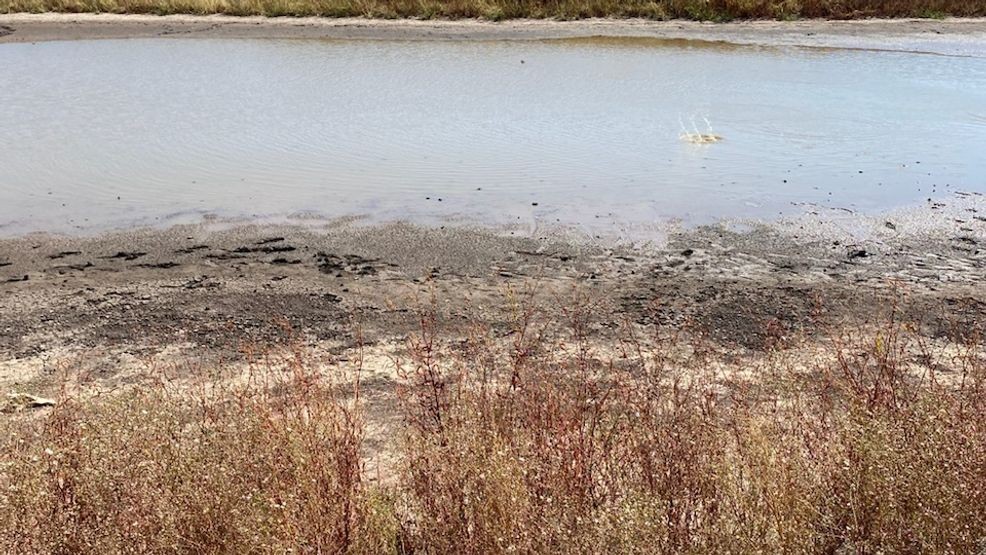 Amarillo man, 22, drowns after car found submerged in playa lake