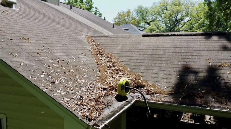 Does Ryobi's Gutter Blower Work? Here's What Users Say