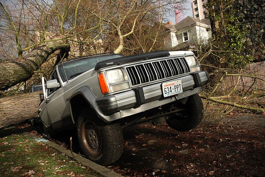 The Most Unbelievable Storms in PNW History