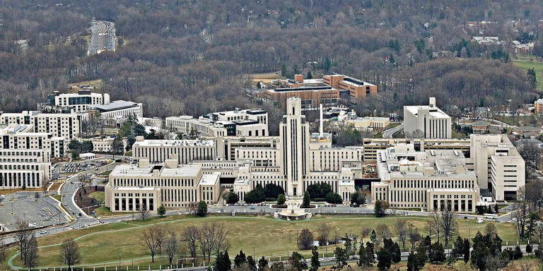 Virginia Infant Left Brain Damaged, Blind After Being Brutally Shaken ...