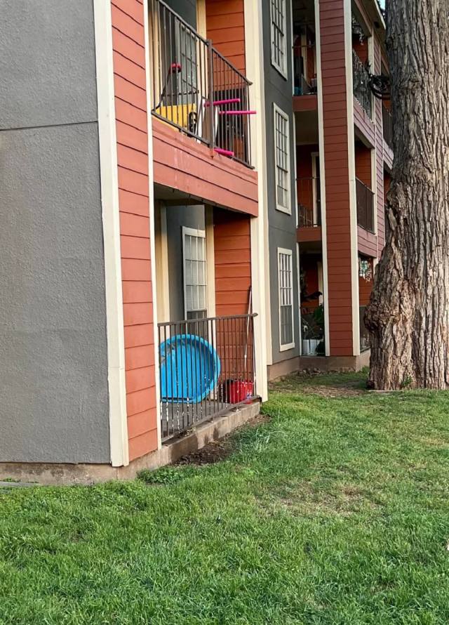 Tenant stunned after returning to find shocking mess left by upstairs ...
