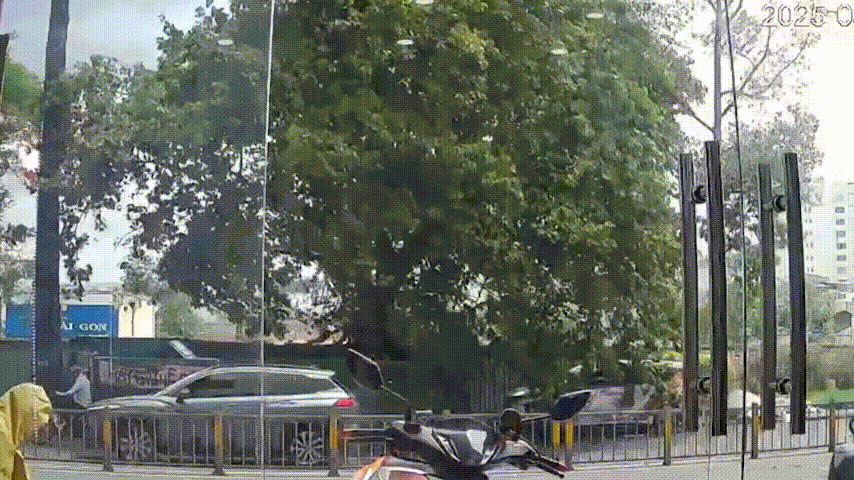 Violent gales slam Ho Chi Minh City, toppling crane, uprooting trees