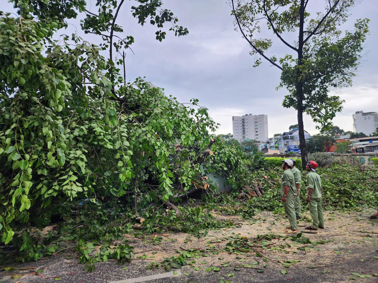 Violent gales slam Ho Chi Minh City, toppling crane, uprooting trees