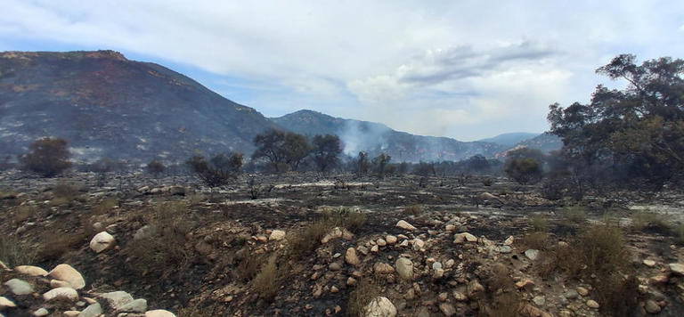 Crews work to contain large brush fire in northern San Diego County