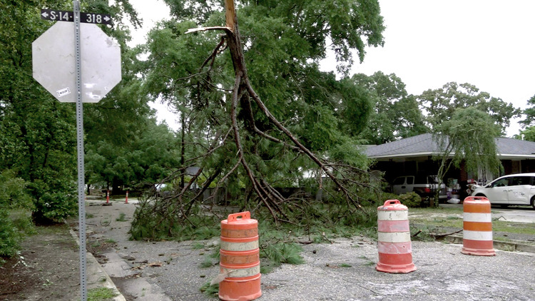 Tornado with 90 mph winds confirmed in South Carolina storm system
