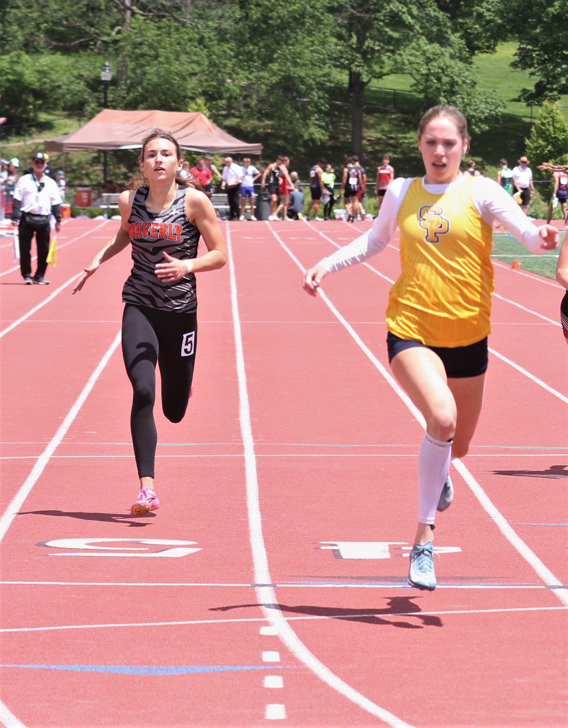 Jayden Beverly, Hudson Williams lead local athletes at OHSAA regional ...