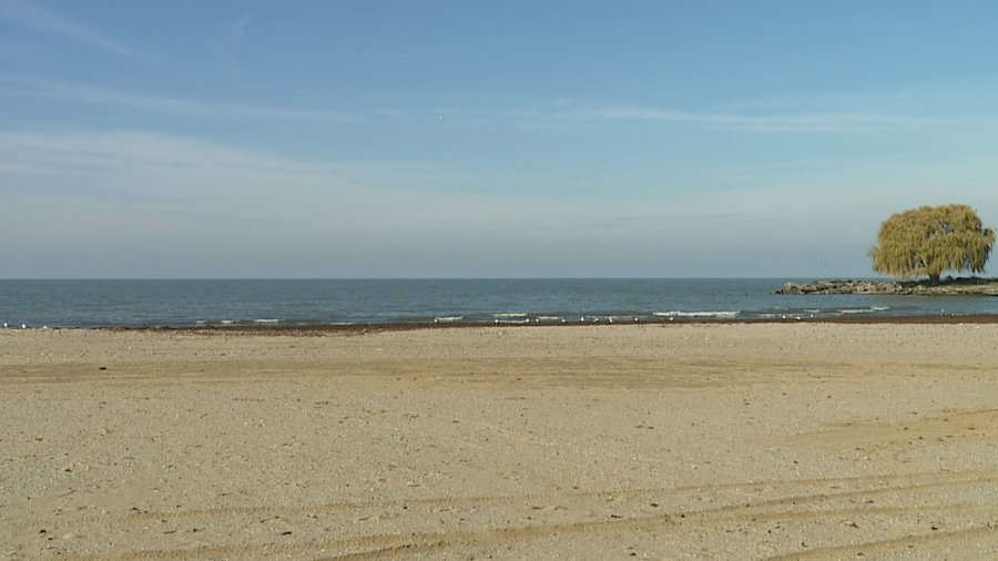 Poor water quality predicted at Edgewater Beach
