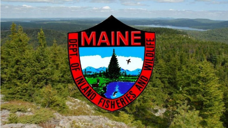 Two separate off-road crashes leave two men dead