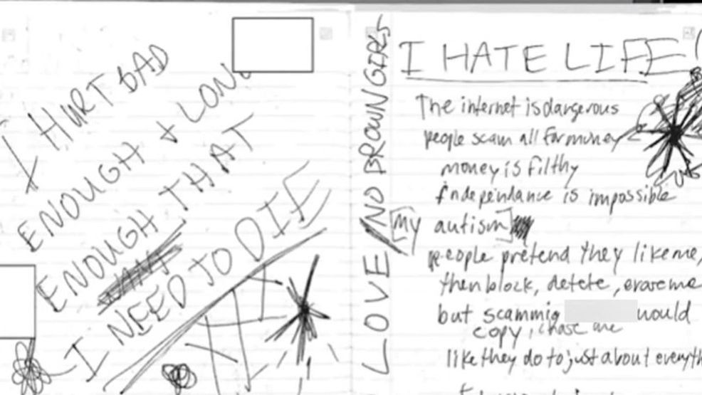Inside the mind of a deadly school shooter