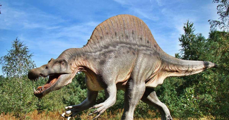 Researchers Solve 72-Million-Year-Old Enigma of Dinosaur Mass Grave at ...